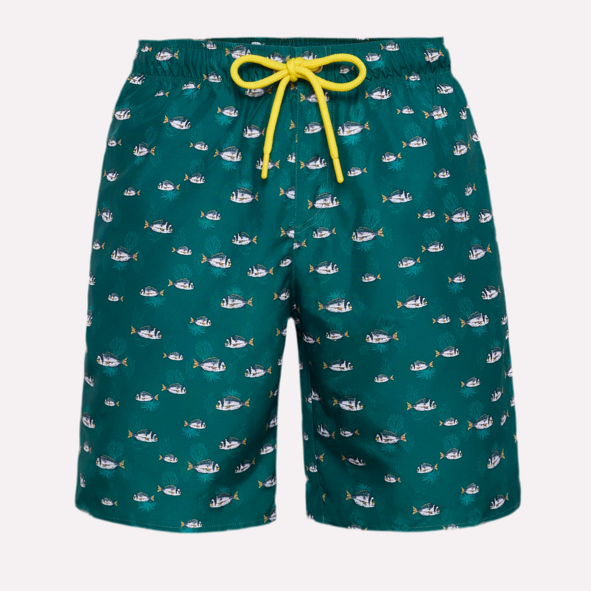 Faskar – Wear Bahama